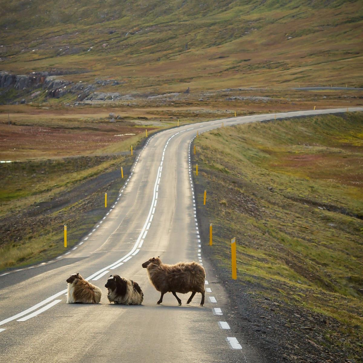 Lokun um verslunarmannahelgi - Bókasafn